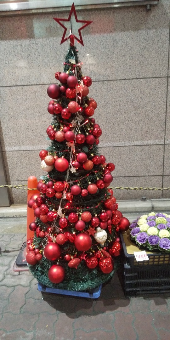 あきらめの冬：フィフティーシックス: セイカノート せいかのおと 成果の音