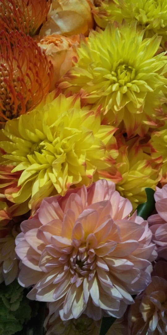 迎え火：81: セイカノート せいかのおと 成果の音