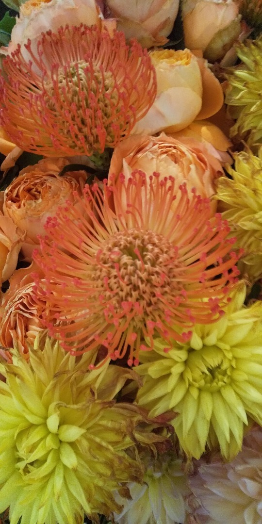 セイカノート：80: セイカノート せいかのおと 成果の音